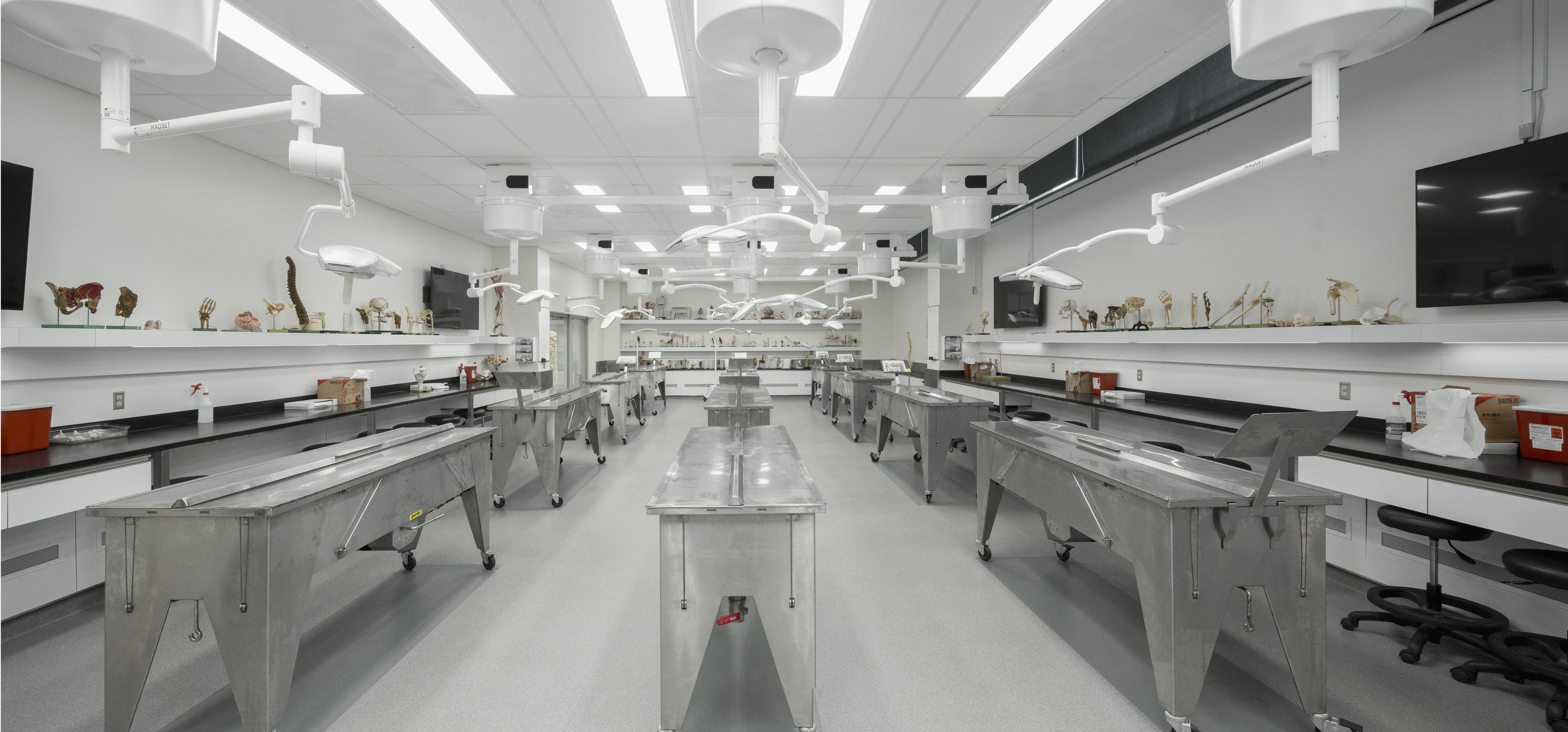 Laboratoire d'anatomie - Pavillon Ferdinand-Vandry