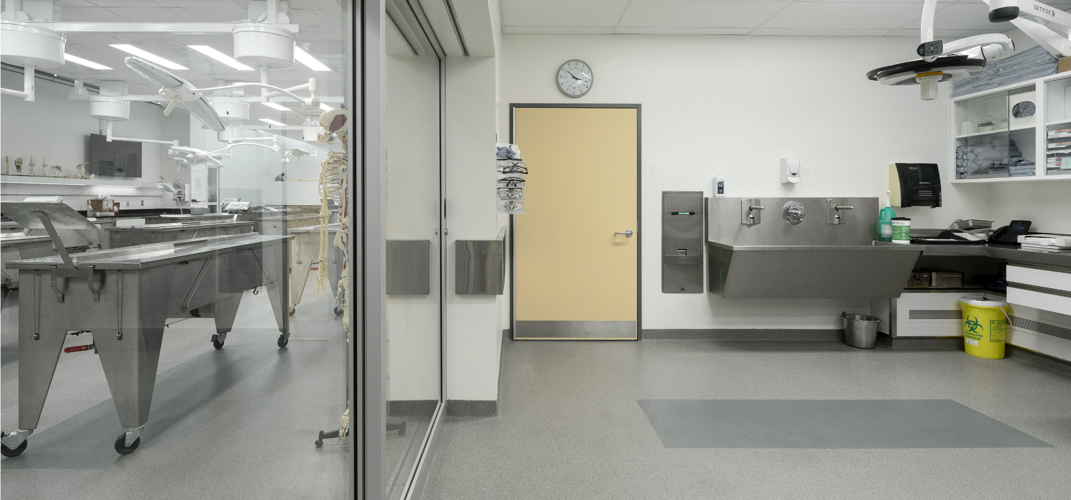 Laboratoire d'anatomie - Pavillon Ferdinand-Vandry