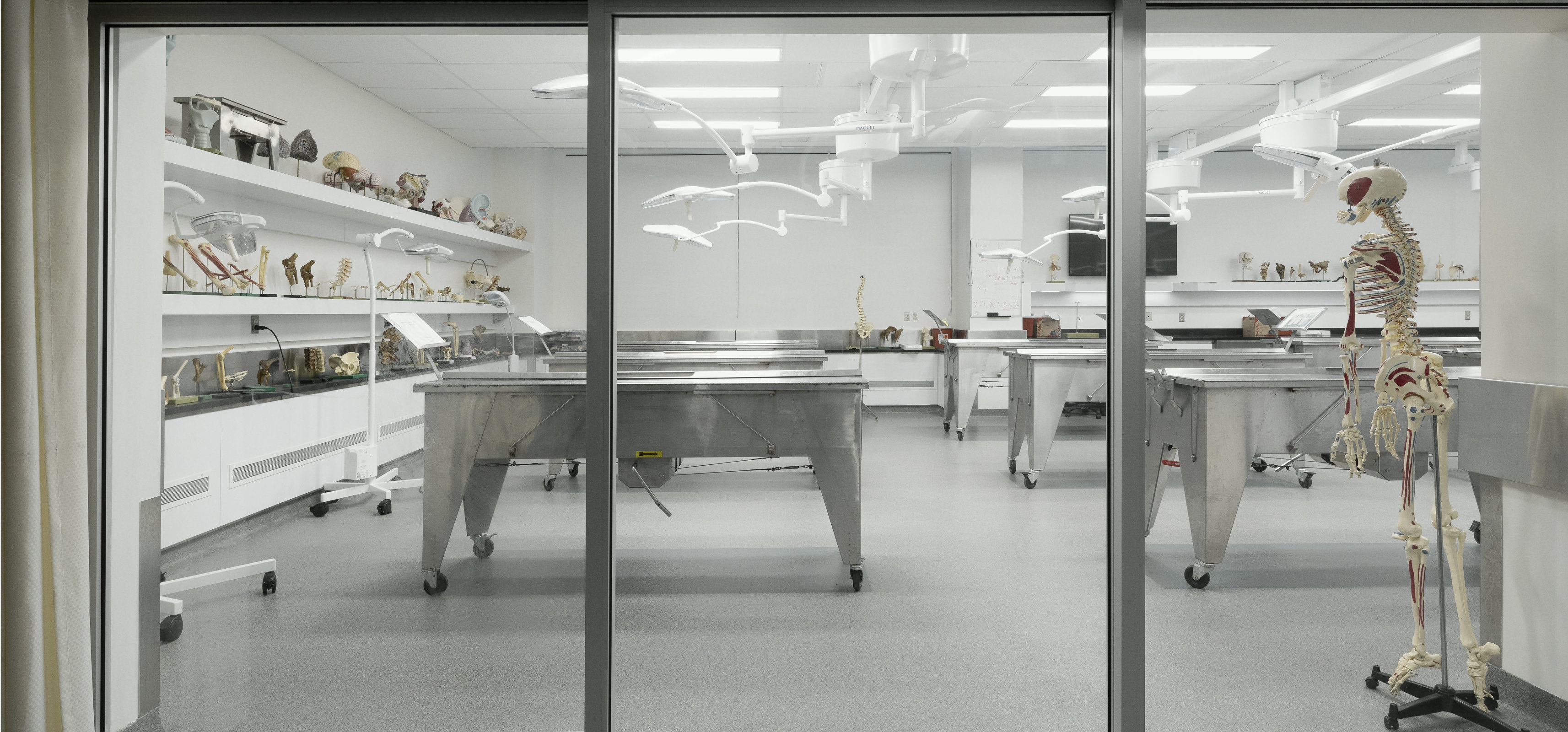 Laboratoire d'anatomie - Pavillon Ferdinand-Vandry